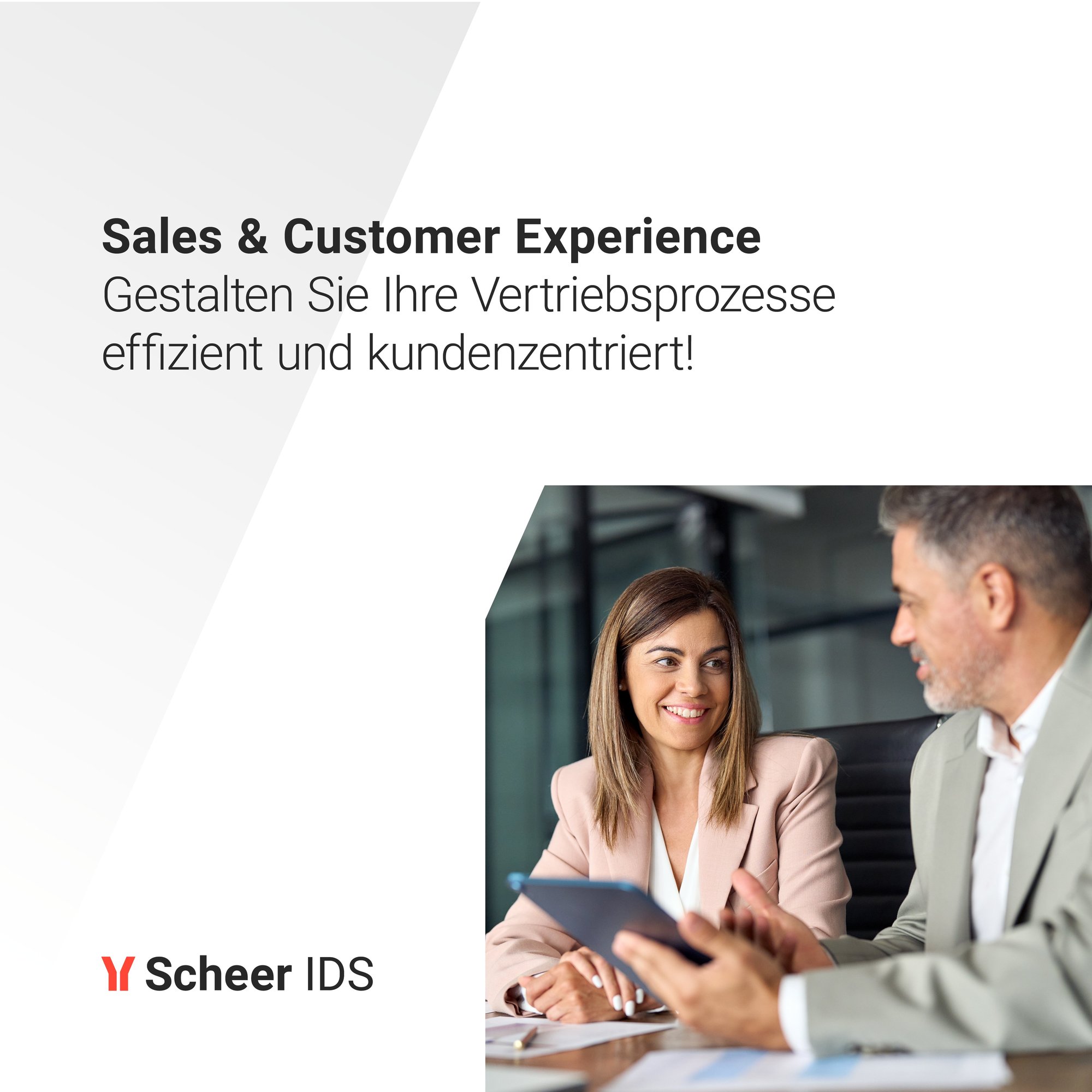Sales and Customer Experience | Scheer IDS