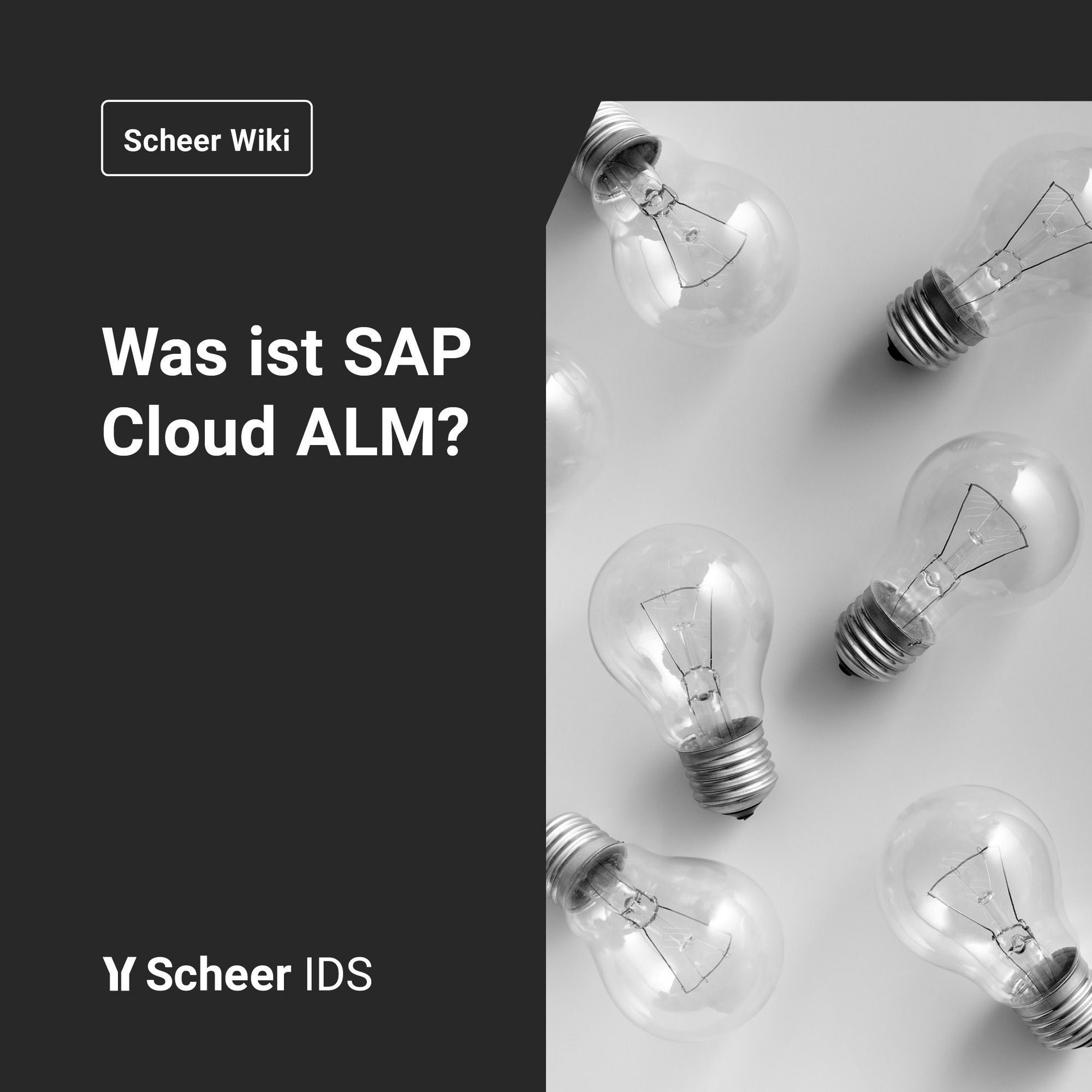 Was versteht man unter SAP Cloud ALM? | Scheer IDS Wiki