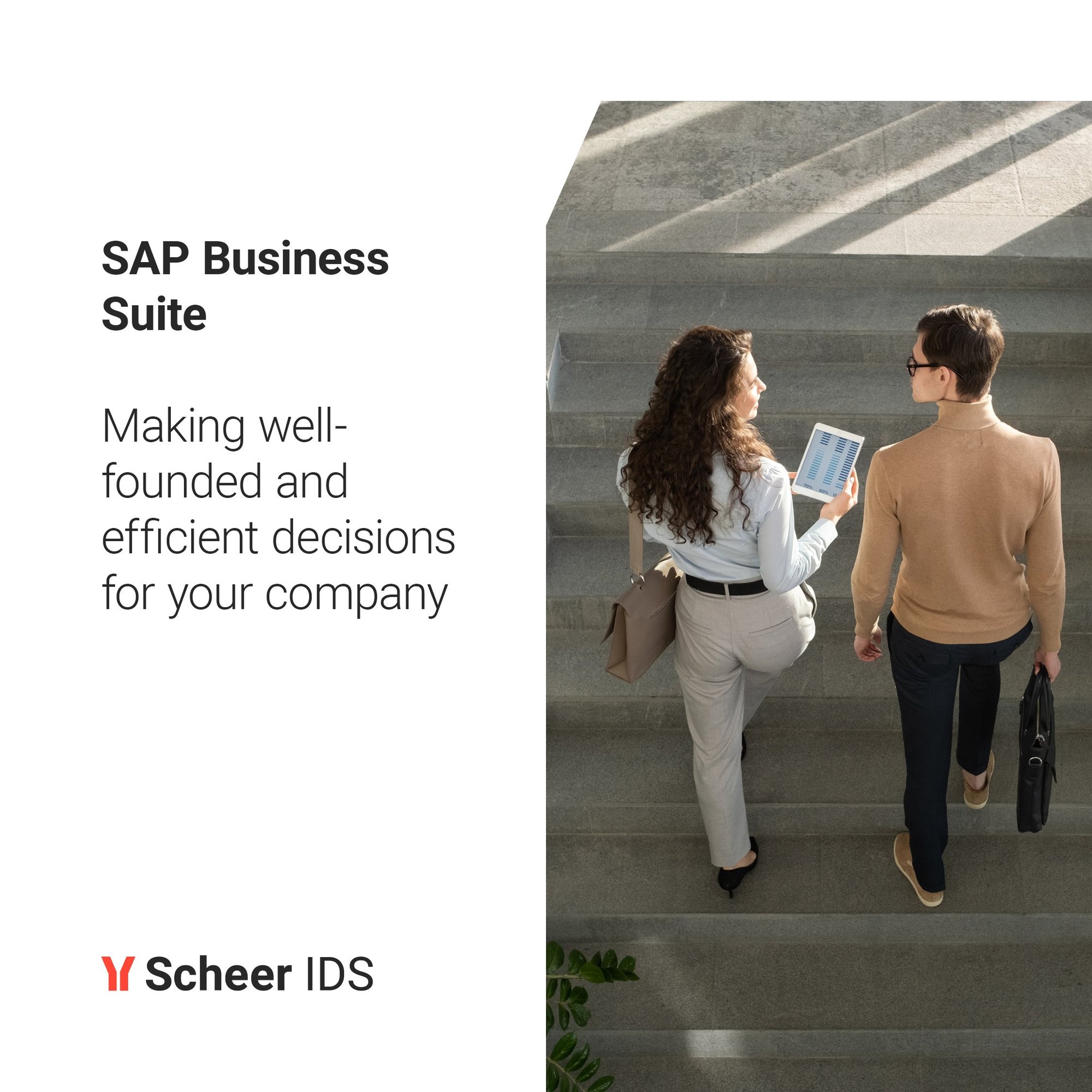 SAP Business Suite | Scheer IDS