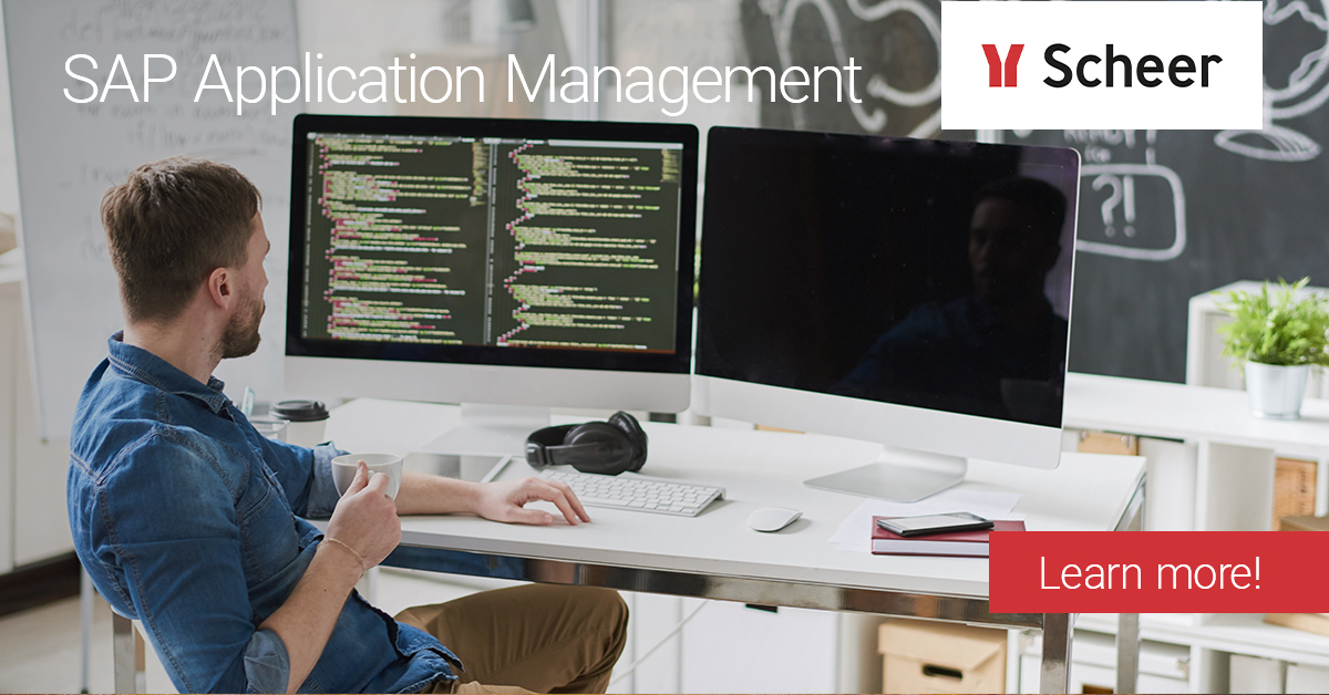 SAP Application Management | Scheer IDS