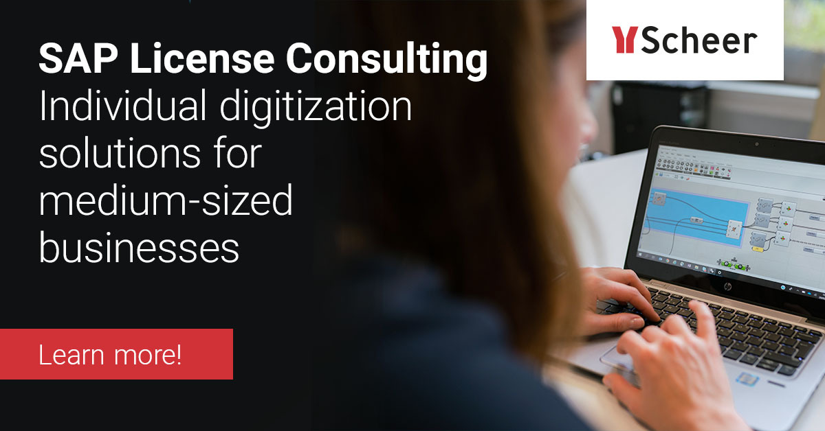 SAP License Consulting | Scheer IDS